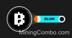 Blum Video Code Today [Updated]